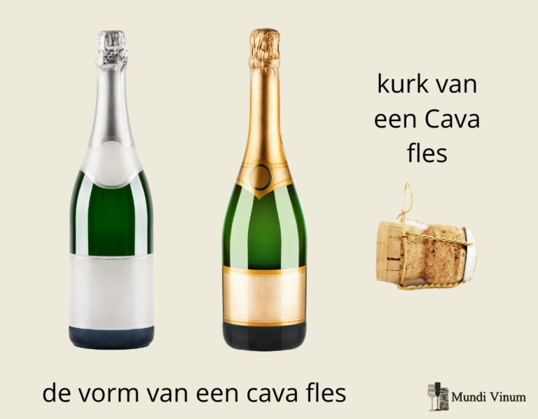 Alles wat je moet weten over Cava en andere soorten bubbels – Mundi ...